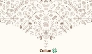 ALL BRANDS – Colian